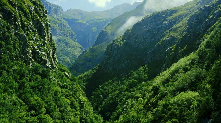 About – Diata Health